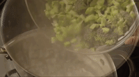 Brocoli GIFs - Get the best gif on GIFER