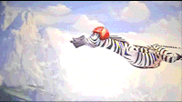 Madagascar GIFs - Get the best gif on GIFER