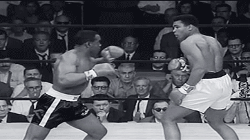 Boxen GIFs - Get the best gif on GIFER