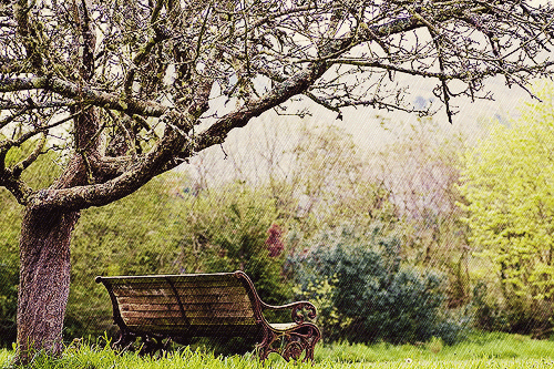 Barish GIFs - Get the best gif on GIFER