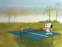 Snoopy GIFs - Get the best gif on GIFER