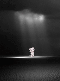 Spotlight GIFs - Get the best gif on GIFER