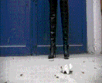 High heels GIFs - Get the best gif on GIFER