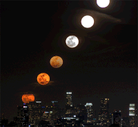 Advance GIFs - Get the best gif on GIFER