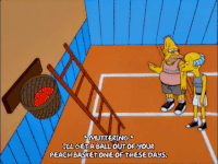 Physical GIFs - Get the best gif on GIFER