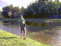 Osprey GIFs - Get the best gif on GIFER