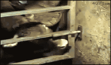 Retirement plans GIF - Conseguir el mejor gif en GIFER