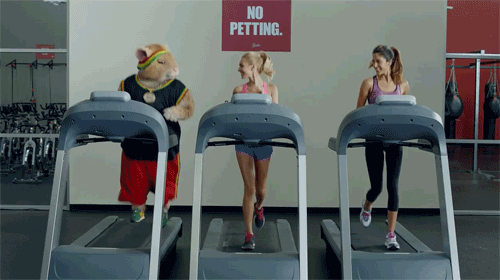 Hamster commercial GIF - Conseguir o melhor gif em GIFER
