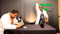 Microbes GIFs - Get the best gif on GIFER