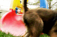 Outdoor GIFs - Get the best gif on GIFER