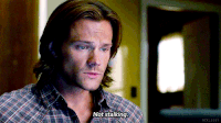 Stalk GIFs - Get the best gif on GIFER