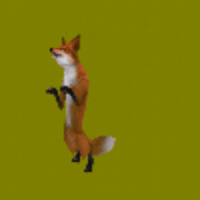 Fox GIFs - Get the best gif on GIFER