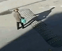 Lega GIFs - Get the best gif on GIFER