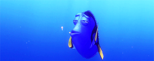 Buscando a nemo GIF - Conseguir o melhor gif em GIFER