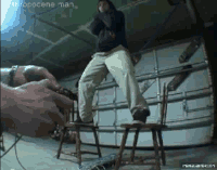 Nutshot GIFs - Get the best gif on GIFER