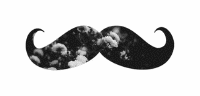 Mustache GIFs - Get the best gif on GIFER