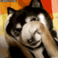 Pup GIFs - Get the best gif on GIFER