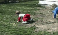 Knockout GIFs - Get the best gif on GIFER