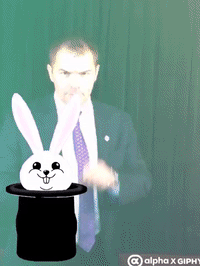 Wt GIFs - Get the best gif on GIFER