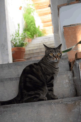 Kiddos GIFs - Get the best gif on GIFER