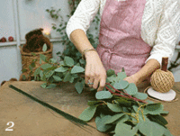 Botany GIFs - Get the best gif on GIFER