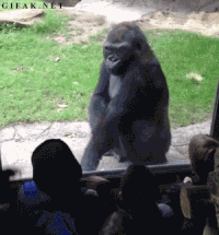 Booing GIFs - Get the best gif on GIFER