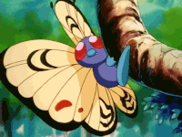 Butterfree GIFs - Get the best gif on GIFER