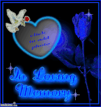 Memories GIFs - Get the best gif on GIFER