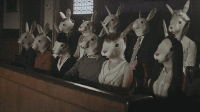 Guilty GIFs - Get the best gif on GIFER