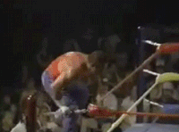 Spline GIFs - Get the best gif on GIFER