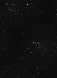 Vertical GIFs - Get the best gif on GIFER