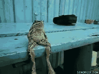 Frogmen GIFs - Get the best gif on GIFER