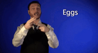Eggs GIFs - Get the best gif on GIFER