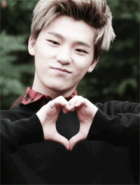 Seventeen GIFs - Get the best gif on GIFER