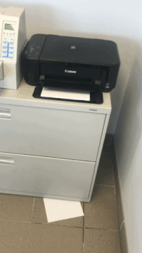 Filing GIFs - Get the best gif on GIFER