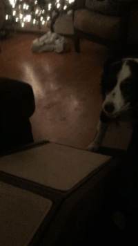Mold GIFs - Get the best gif on GIFER