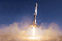 Falcon GIFs - Get the best gif on GIFER