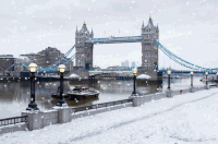 London GIFs - Get the best gif on GIFER