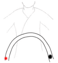 Kickboxing GIFs - Get the best gif on GIFER