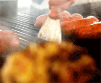 Clams GIFs - Get the best gif on GIFER