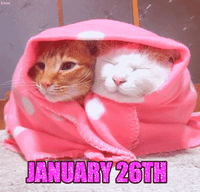 January GIFs - Get the best gif on GIFER