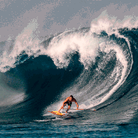 Surf GIFs - Get the best gif on GIFER
