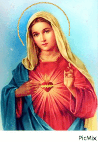 Maria GIFs - Get the best gif on GIFER