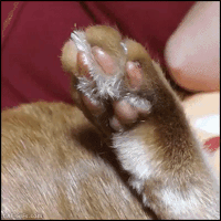 Instruction GIFs - Get the best gif on GIFER