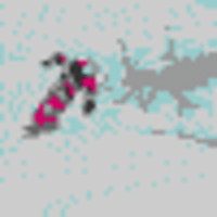 Gabbers GIFs - Get the best gif on GIFER