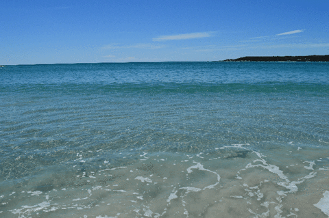 Vague GIFs - Get the best gif on GIFER