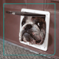 Hospitality GIFs - Get the best gif on GIFER