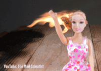Bibble GIFs - Get the best gif on GIFER