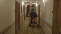 Luggage GIFs - Get the best gif on GIFER