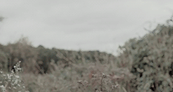 Morale GIFs - Get the best gif on GIFER